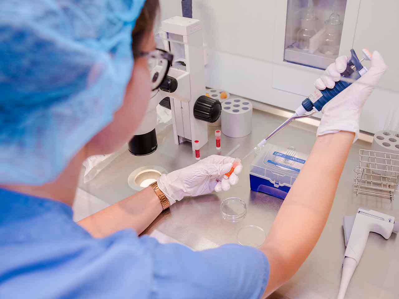 In Vitro Fertilization combined with other reproductive techniques ...